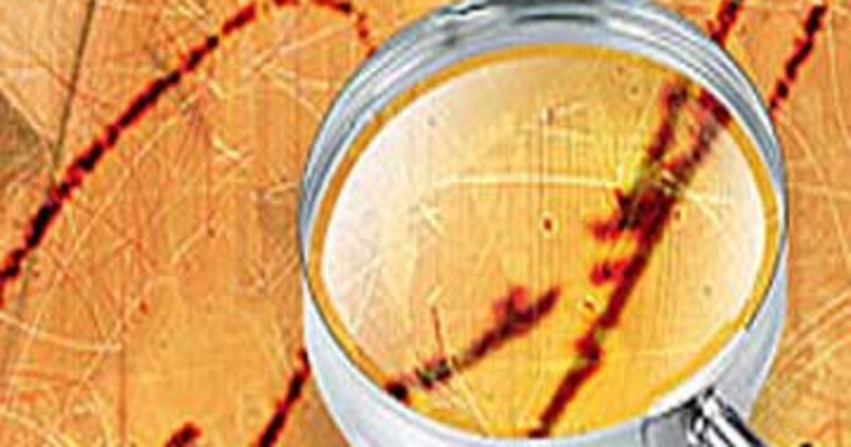 ''İrtica ile Mücadele Eylem Planı'' davasının 17'inci duruşması başladı!