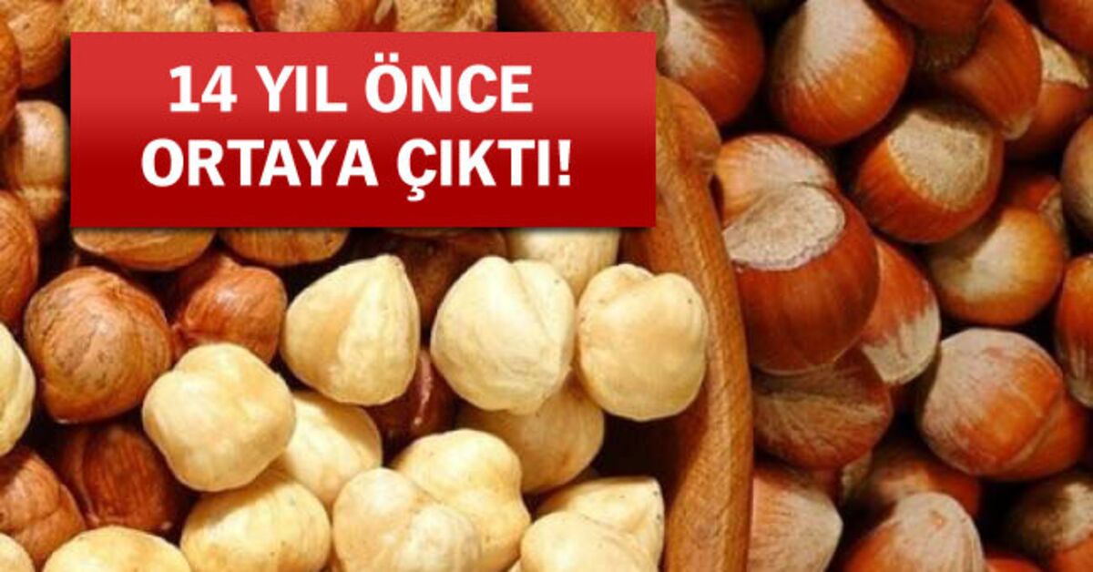 Kanser tedavisinde fındık kullanılabilir mi? - Habertürk Son Dakika ...