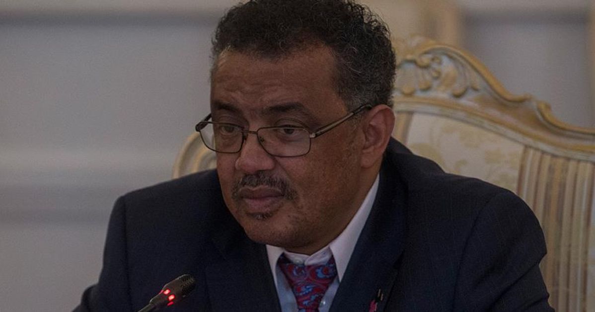 Dünya Sağlık Örgütü'nün yeni Genel Direktörü Etiyopyalı Tedros Adhanom ...
