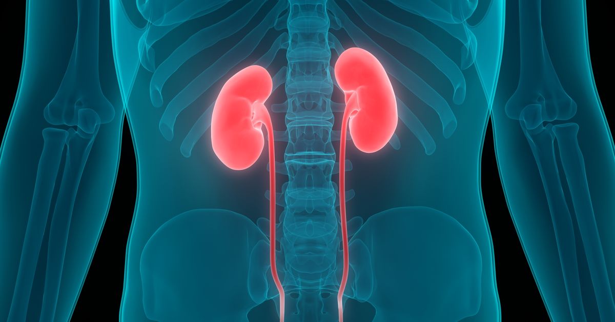 Böbrek hastaları protein tozu tüketebilir mi? - Habertürk Sağlık Haberleri