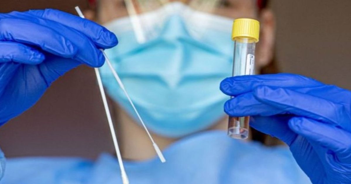 Covid-19 test sonucu sorgulama: Korona virüs test sonucu nasıl ...