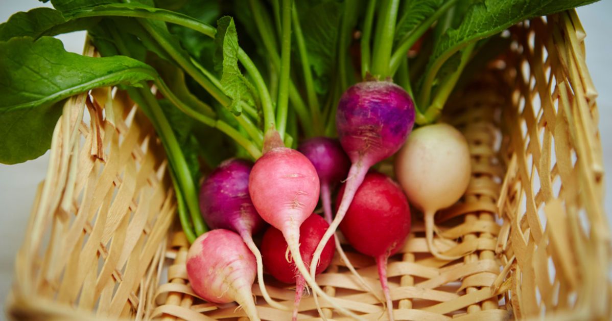 Şalgamın Faydaları ve Zararları Nedir? Şalgam Şeker Hastalığına İyi ...
