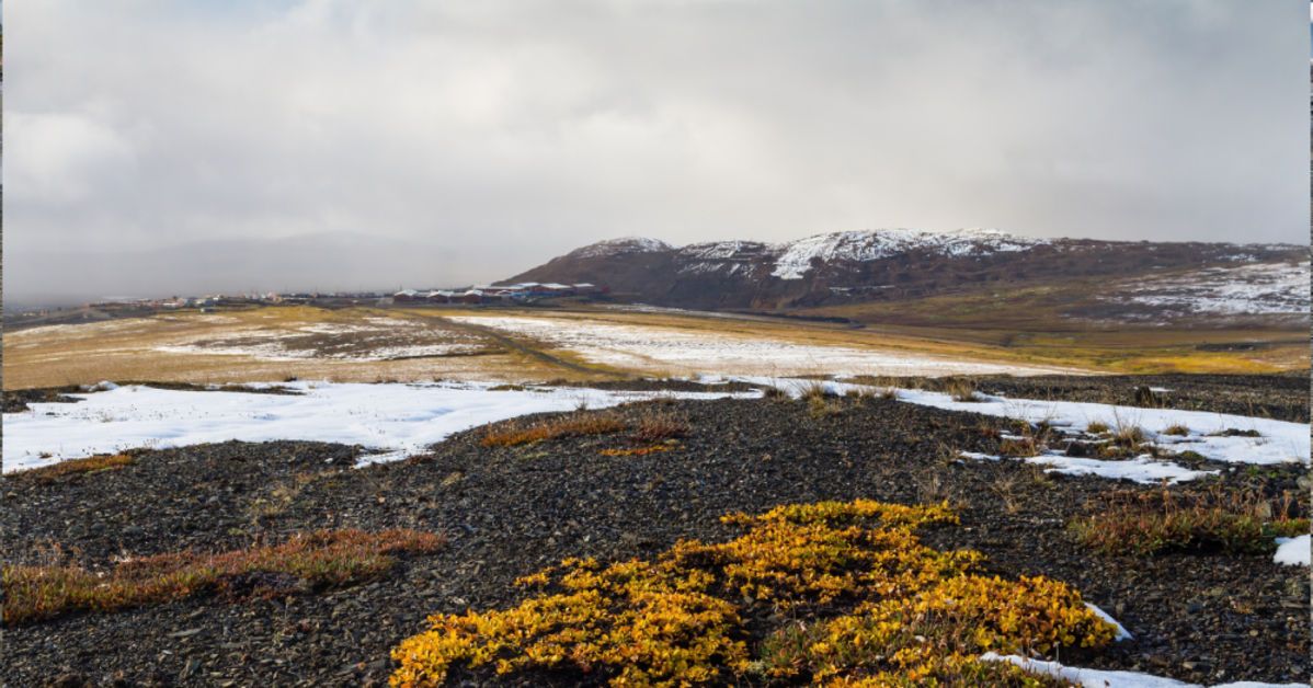 Tundra Toprak Nedir, Özellikleri Neler? Tundra Toprak Nerede Görülür?