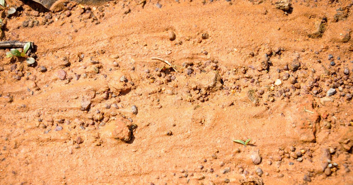 Laterit Toprak Nedir, Özellikleri Neler? Laterit Toprak Nerede Görülür ...