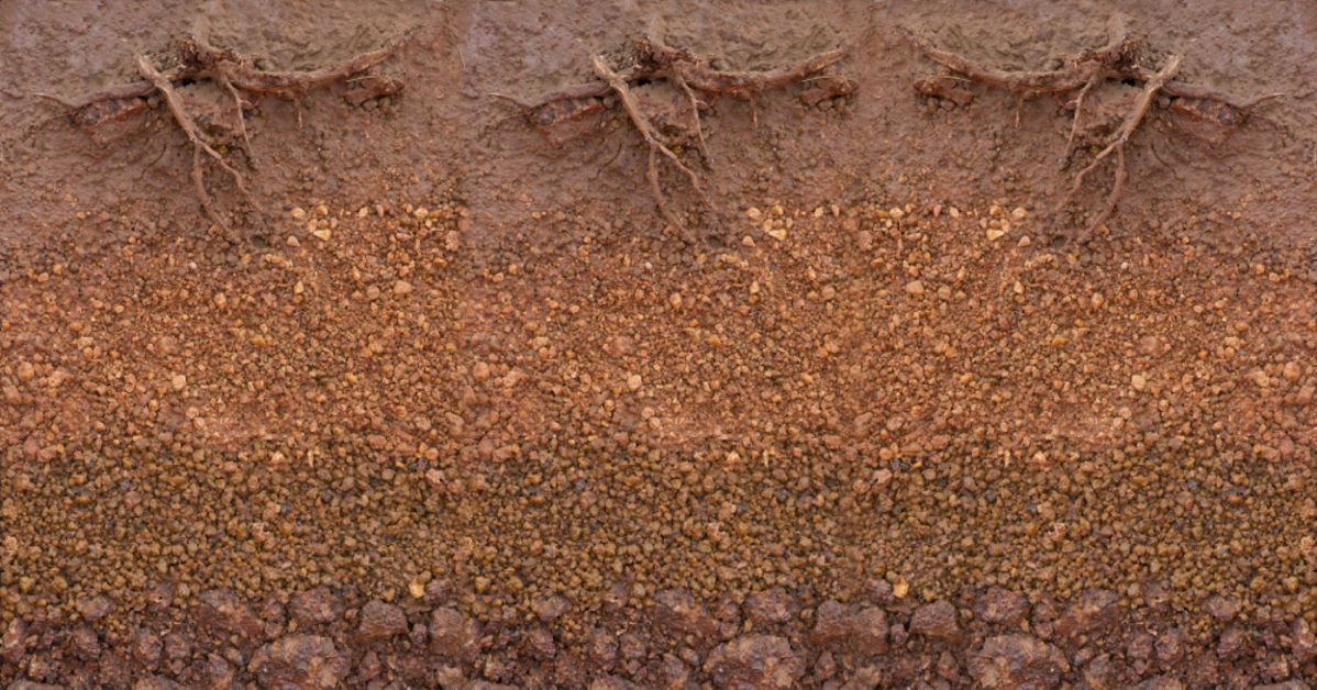 Azonal Topraklar Nelerdir? Azonal Toprak Çeşitleri, Özellikleri ve ...