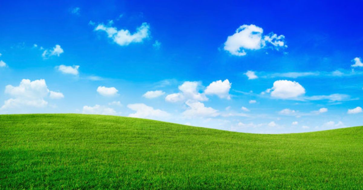 Windows bilgisayarların meşhur arka plan fotoğrafı Bliss! İşte hikayesi...