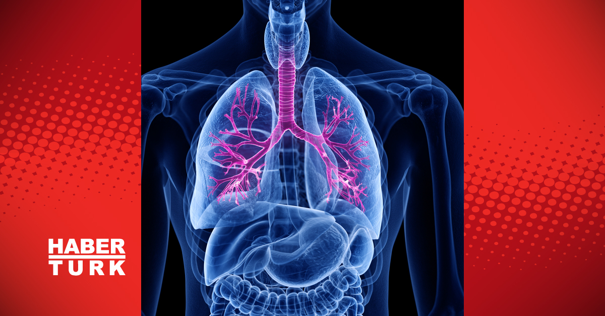 Kistik fibroziste erken tanı ve tedavi çok önemli | Sağlık Haberleri