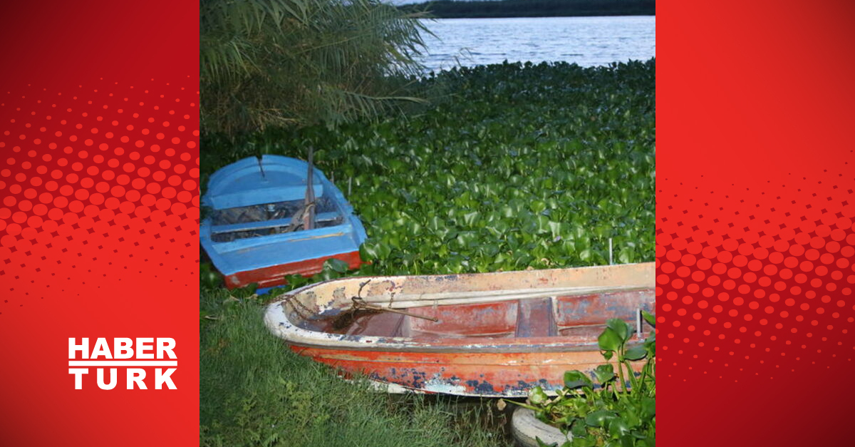 Hatay'da Asi Nehri'ni yeniden su sümbülleri kapladı