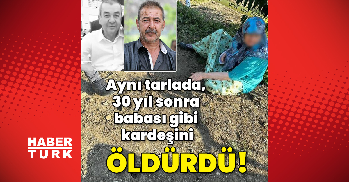 KANLI TARLA! Bursa'da 30 yıl sonra bir kardeş cinayeti daha! - Son ...