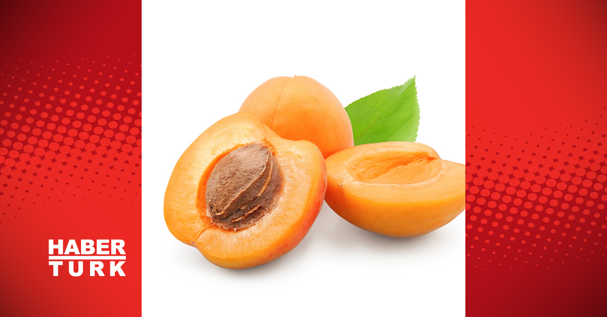 Kayısı Yetiştiriciliği Nasıl Yapılır, Püf Noktaları, Karlı mı ve Devlet ...