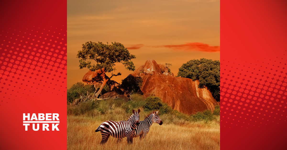 Savan İklimi Nedir, Nerelerde Görülür? Savan İklim Tipi Özellikleri