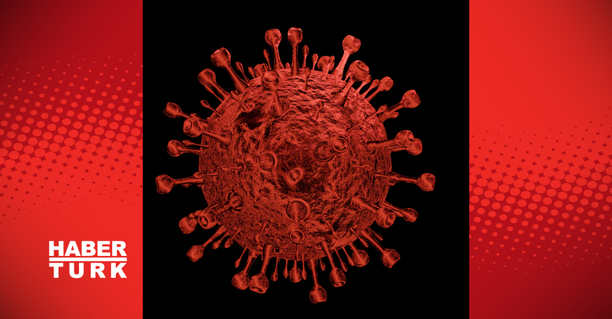 Covid-19 mu grip mi? | Sağlık Haberleri