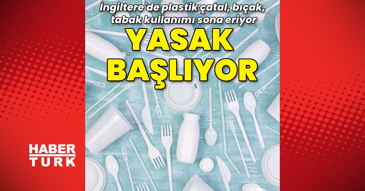 İngiltere'de tek kullanımlık plastik çatal, bıçak, tabak ve tepsi ...