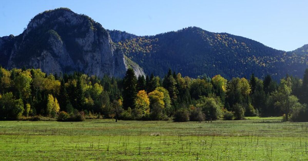 Türkiye’nin tek "Pan Parks" statüsüne sahip Küre Dağları'nda mest eden ...