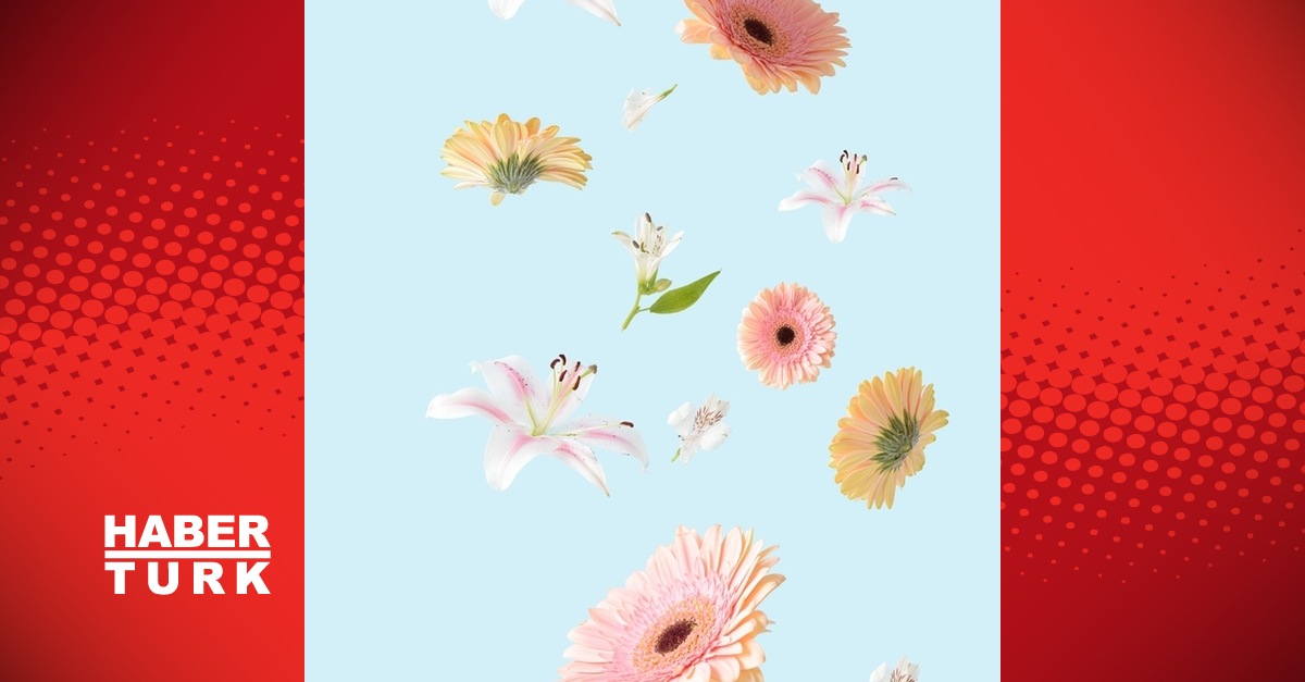 Yaşam Çiçeği Anlamı Nedir? Yaşam Çiçeği Ne Anlama Gelir ve Ne Demek?