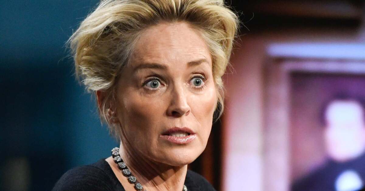 Sharon Stone aşkı internette de denemiş: Aradığım gibi birini bulamadım ...