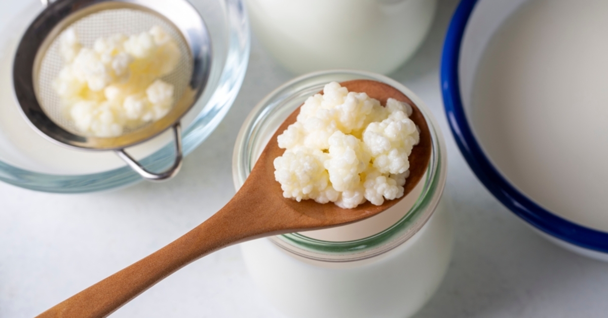 Kefirin faydaları neler ve ne işe yarar? Kefir nedir, neye iyi gelir?
