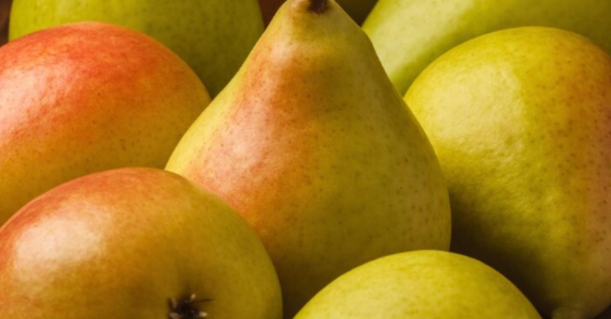 Armutun Faydaları ve Zararları! Armut Neye İyi Gelir, Zayıflatır mı ve Faydaları Neler? | Sağlık ...