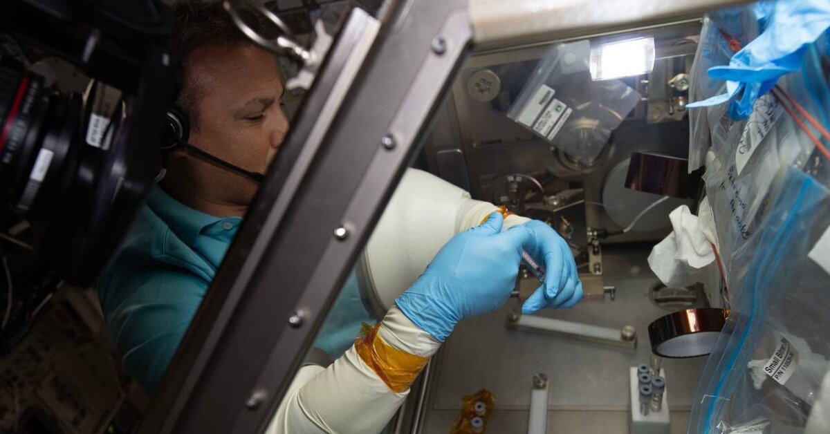 Gezeravcı, biyolojik ve biyoteknolojik deneylere başladı - Teknoloji ...