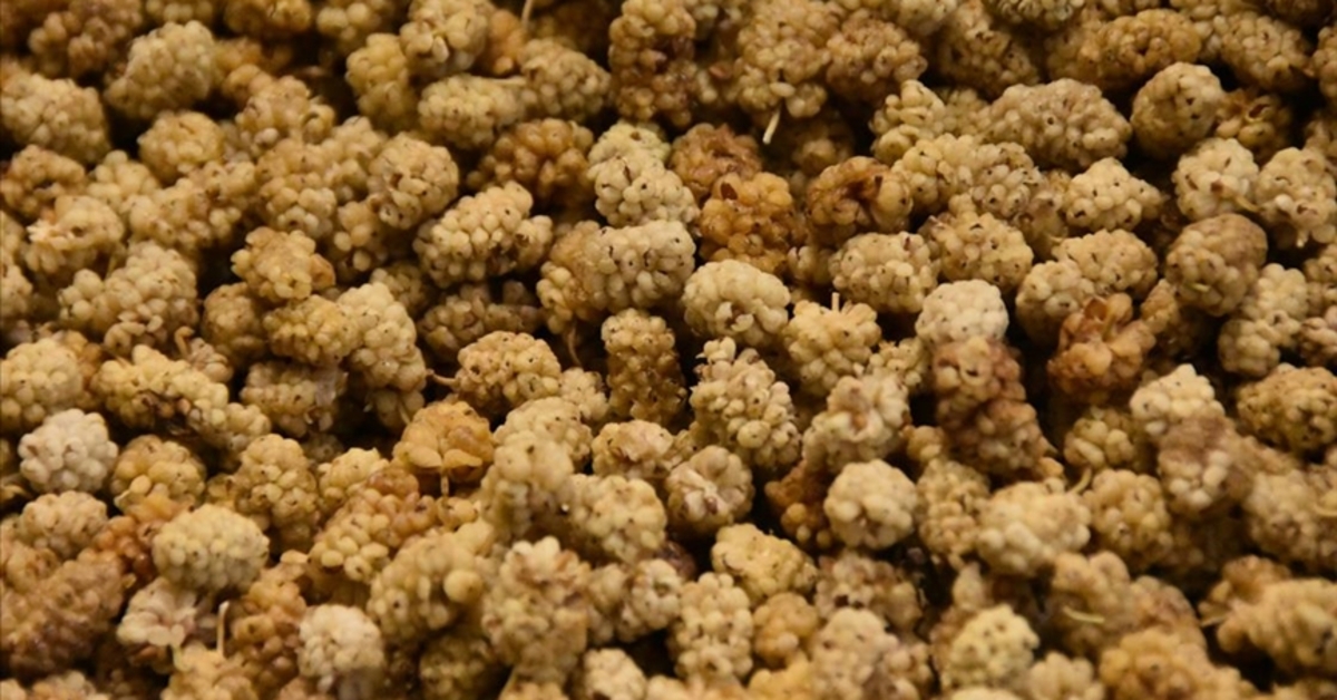 Dut kurusu sağlığa faydaları ve zararları - Dut kurusu neye iyi gelir ...