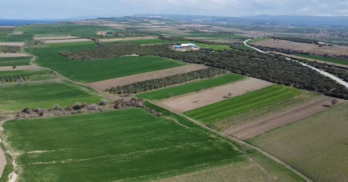 Çanakkale'de kayıp 'Halileli Batarya Şehitliği'nin yeri belirlendi