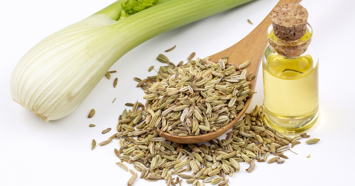 Rezene tohumu, rezene yağının faydaları neler? Rezene çayı nasıl ...