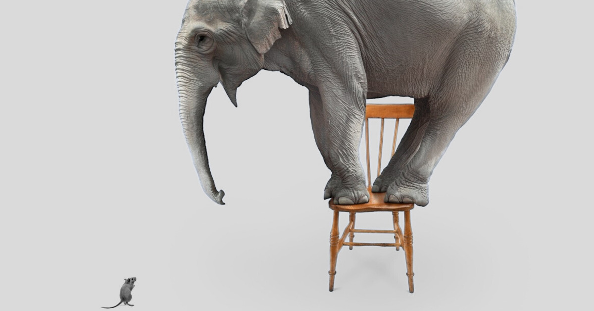 Mit mi gerçek mi: Devasa filler gerçekten küçük farelerden korkar mı?