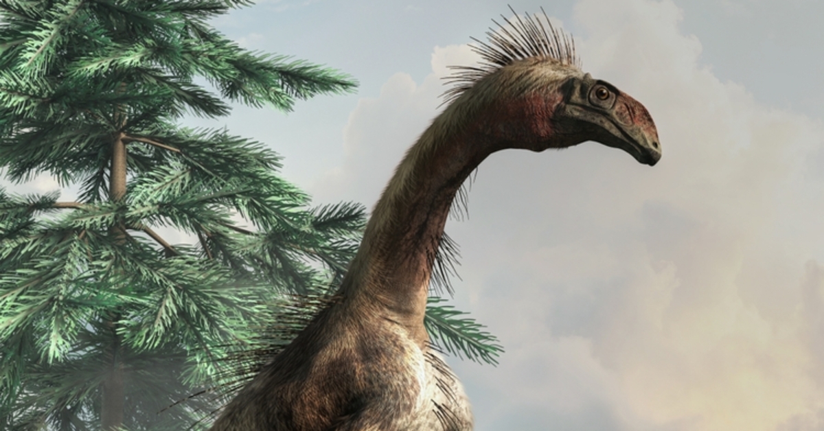 T-rex'in yakın akrabaları bugün hala hayatta! Hangi hayvanın soyu ...