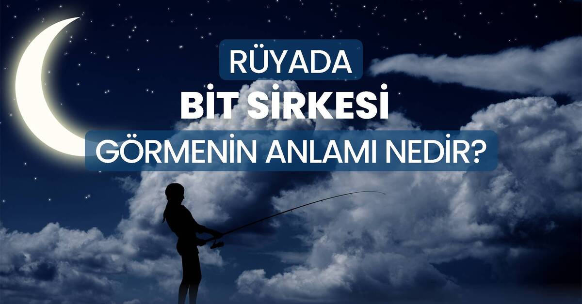 Rüyada bit sirkesi görmek ne anlama gelir? Rüyada başkasının saçında ...