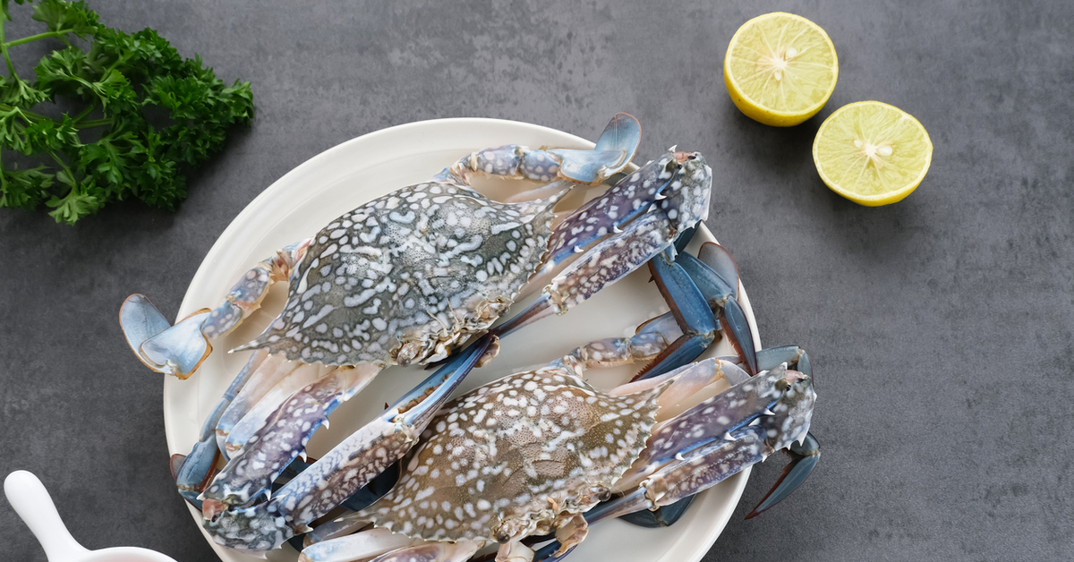 Mavi yengeç nasıl yenir, tüketilir? Mavi yengecin faydaları nelerdir?