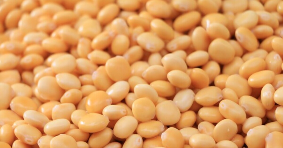 Termiye nasıl yenir, tüketilir? Termiyenin faydaları nelerdir?