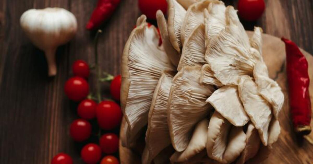 İstridye mantarı nasıl temizlenir? İstridye mantarı temizlemenin püf ...