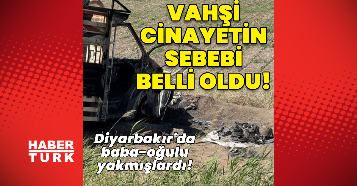 Son dakika: Diyarbakır'da baba ile oğlunu 200 bin lira için öldürdüğü ...