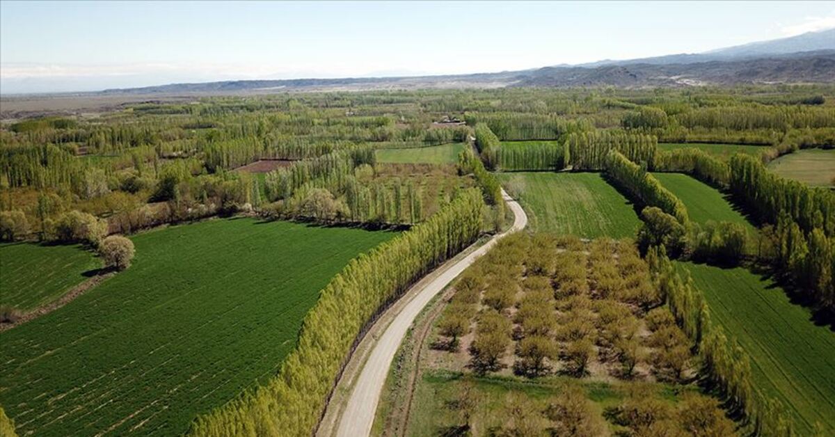 4 soruda 2B arazileri: 2B arazisi nedir, kimleri kapsıyor, arazi tecili ...