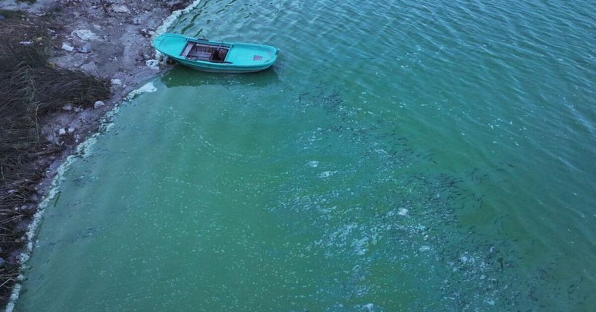 Terkos Barajı'nda suyun bazı bölümleri yeşile büründü | Son dakika haberleri