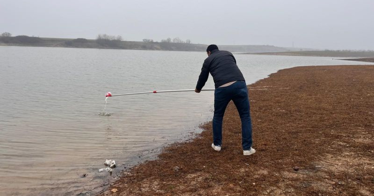 Son dakika: Tekirdağ'da gölette toplu balık ölümleri: Sudan numune ...