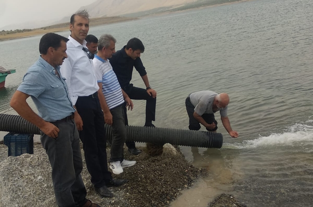 Karakaya barajı'na 300 bin balık yavrusu bırakıldı - Malatya Haberleri