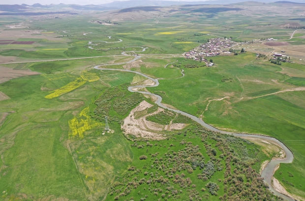 Murat Nehri'nin çevresinde bahar renkleri hakim oldu - Ağrı Haberleri
