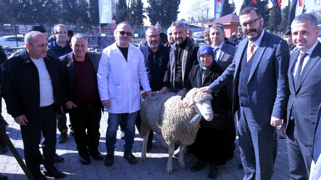 Kocaeli'de küçükbaş hayvan üreticilerine damızlık koç ve teke desteği ...