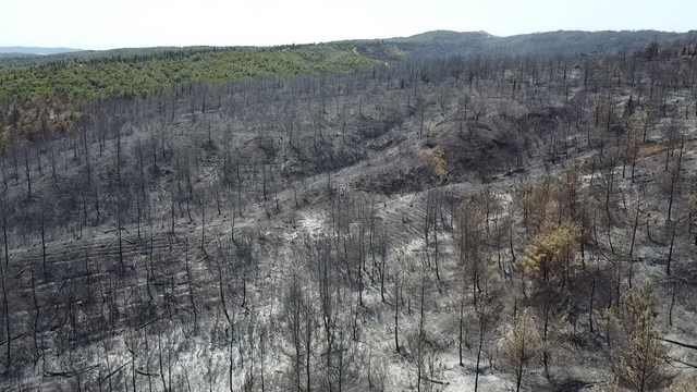 Çanakkale'deki orman yangını; başladığı alan dron ile görüntülendi (4 ...