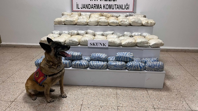 Van'da 47 kilo 800 gram skunk ele geçirildi - Van Haberleri