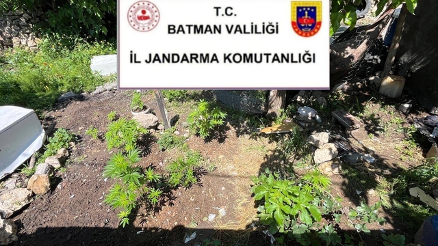 Batman'da uyuşturucu ve kaçak ürün operasyonu - Batman Haberleri