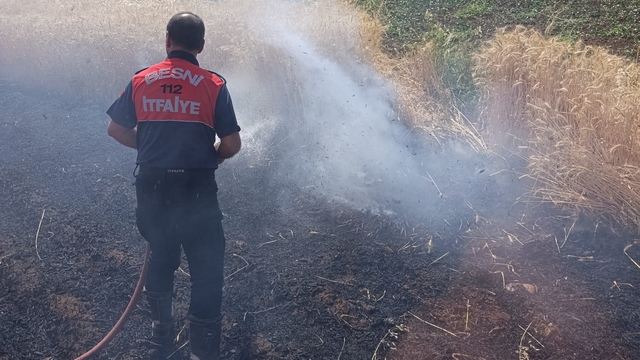 Adıyaman'da örtü ve anız yangınları; 1500 hektar alan zarar gördü ...