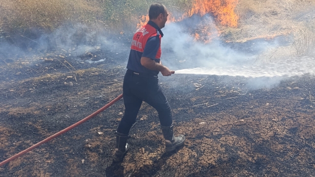 Adıyaman'da örtü ve anız yangınları; 1500 hektar alan zarar gördü ...
